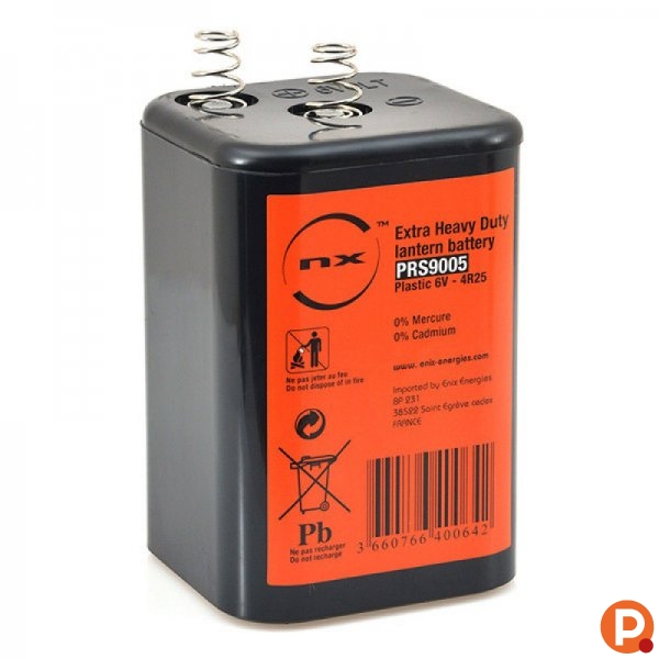 Lot de 6 Piles 4R25 6V : achetez au meilleur prix sur Proteclight